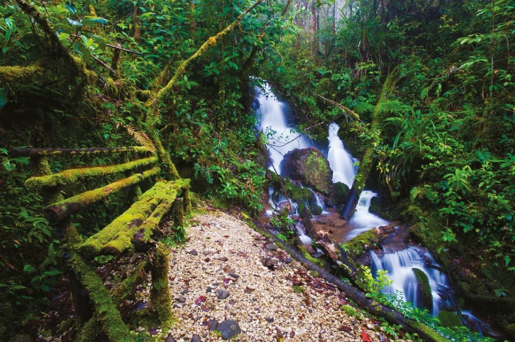 Trips to Papua New Guinea, Oceania - Last Places